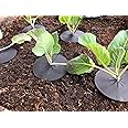 Linic Products UK Made, Reusable Cabbage Plant Protector Barrier Guard ...