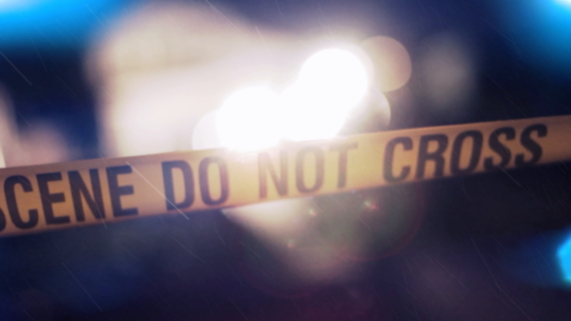 Damaged: The Brand New Blockbuster From the No. 1 Bestseller: Amazon.co ...