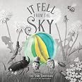 It Fell From The Sky : Fan, Eric, Fan, Terry: Amazon.co.uk: Books
