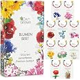 Blumen Samen für Garten und Balkon: 10 Sorten Premium Blumensamen ...