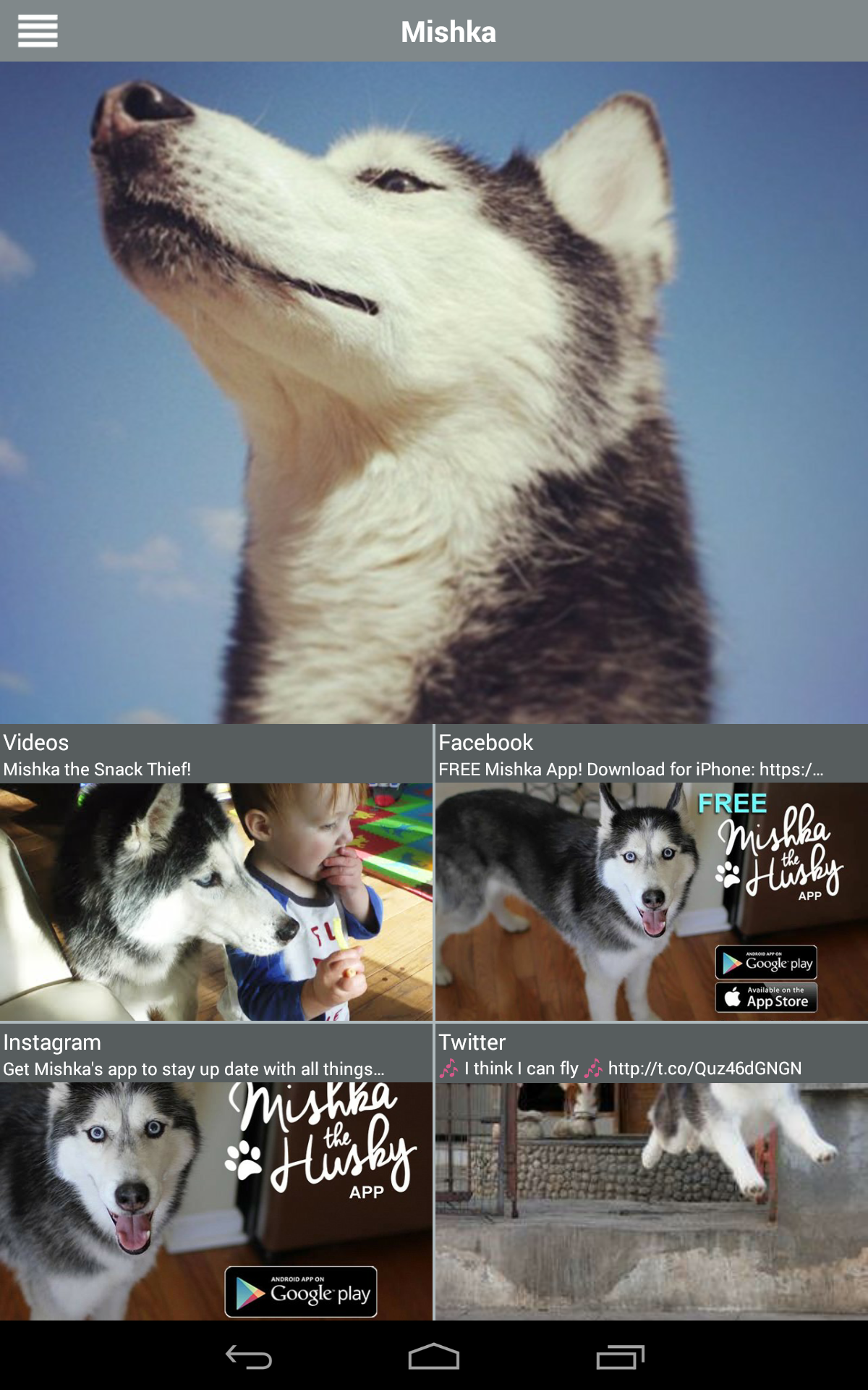 Mishka The Talking Husky : Amazon.de: Apps & Spiele