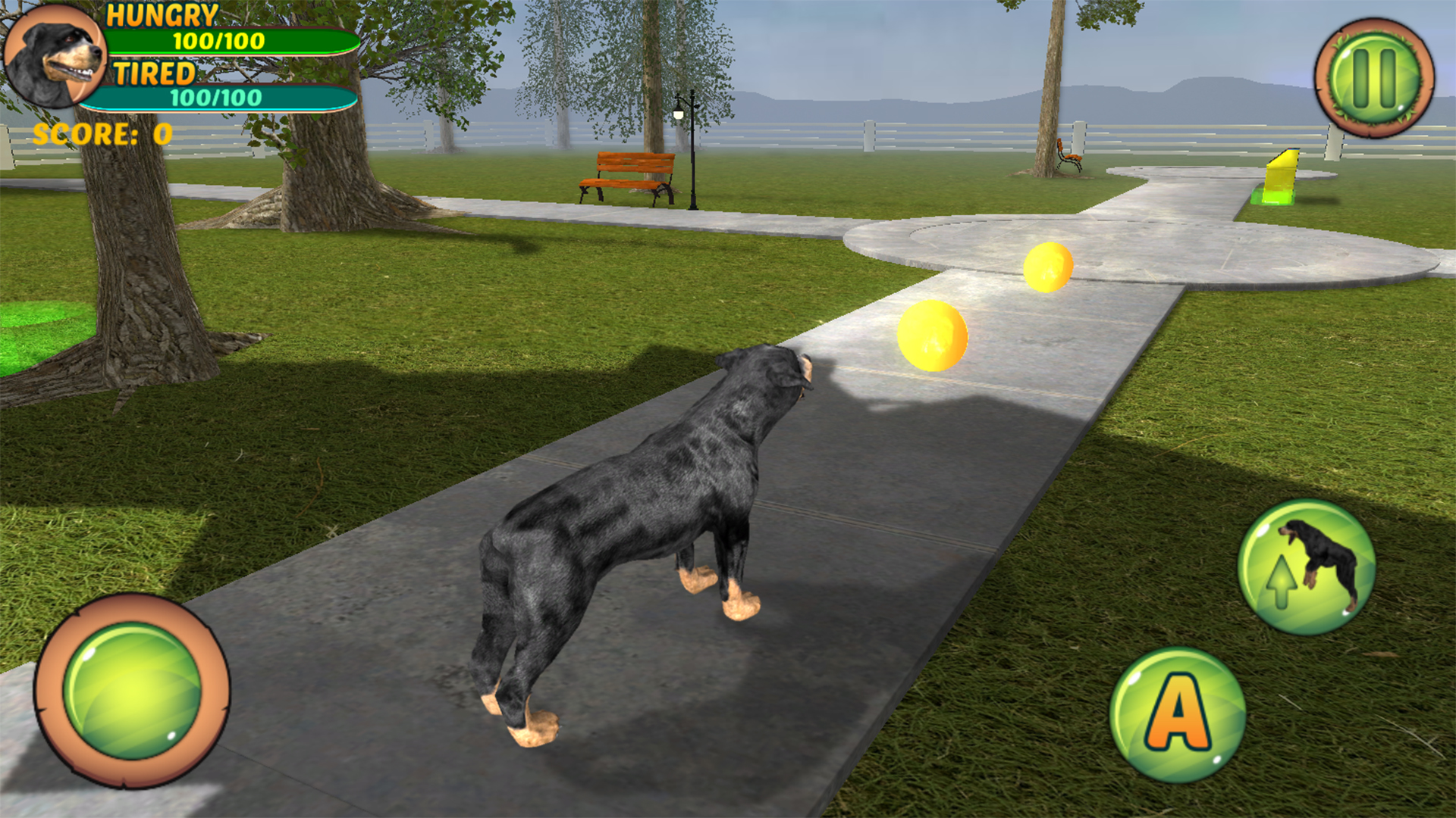 Rottweiler Dog Life Simulator : Amazon.de: Apps & Spiele