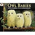 Owl Babies: Over two million copies sold - a heartwarming bedtime ...