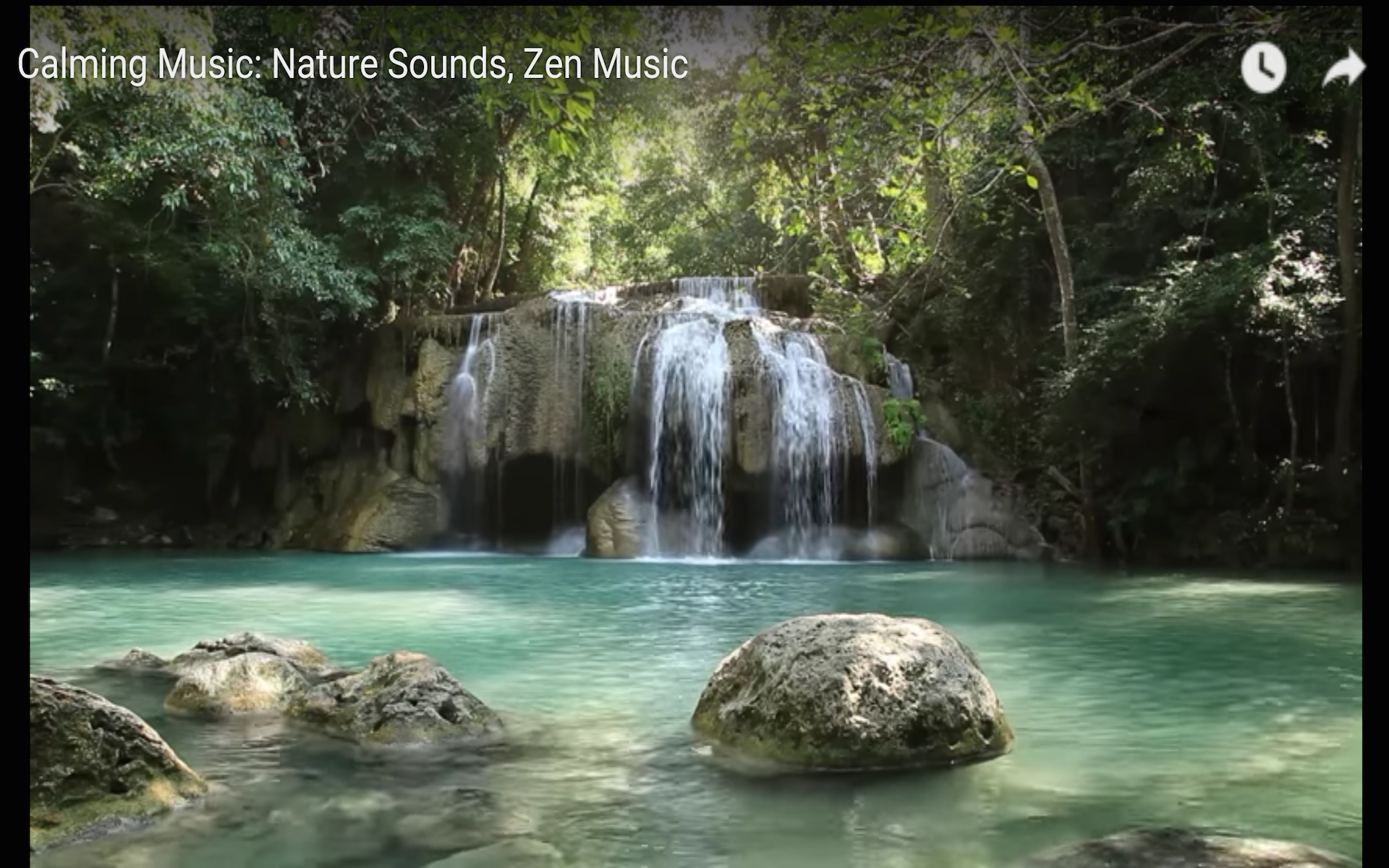 Zen TV : Amazon.co.uk: Apps & Games