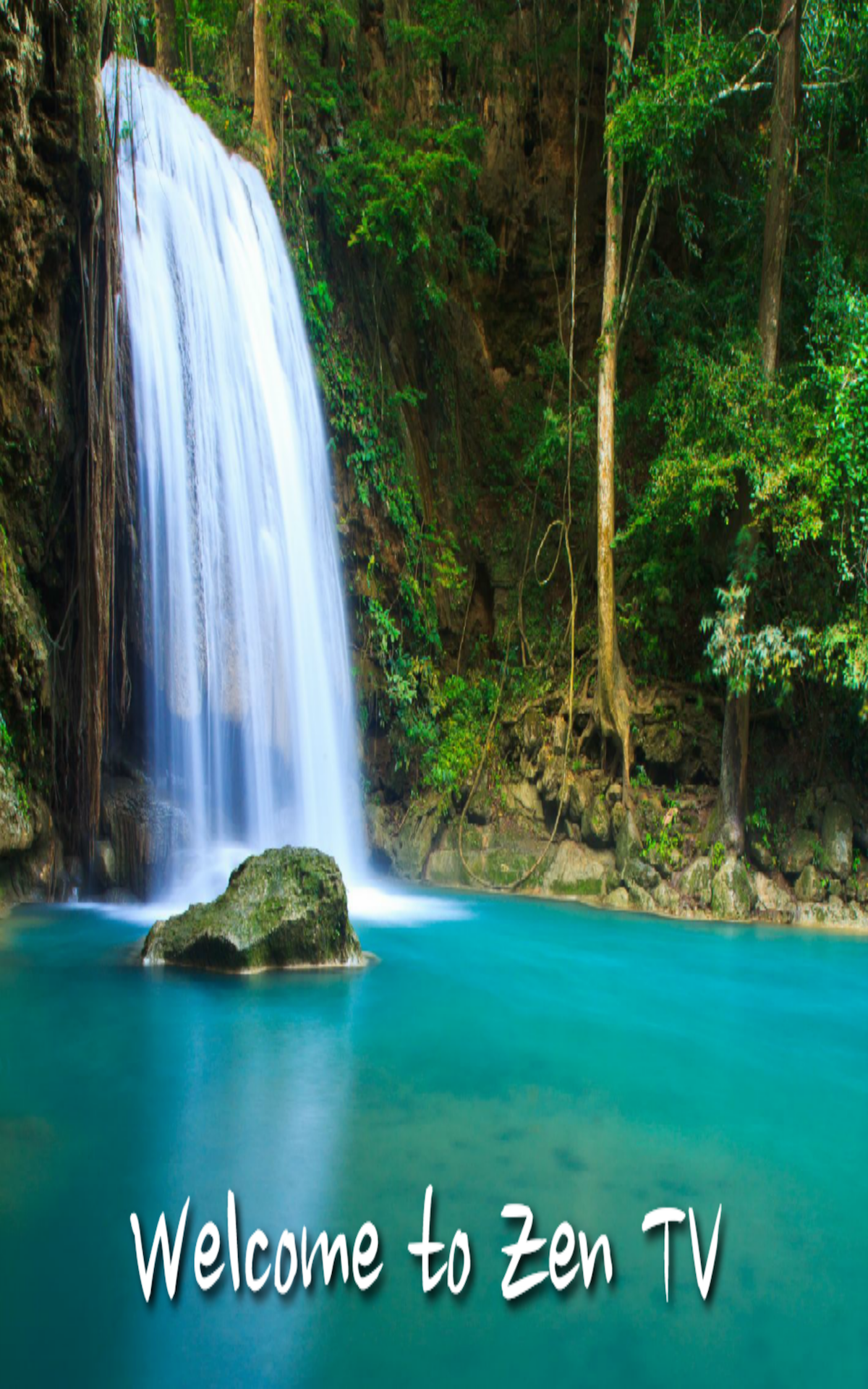 Zen TV : Amazon.co.uk: Apps & Games