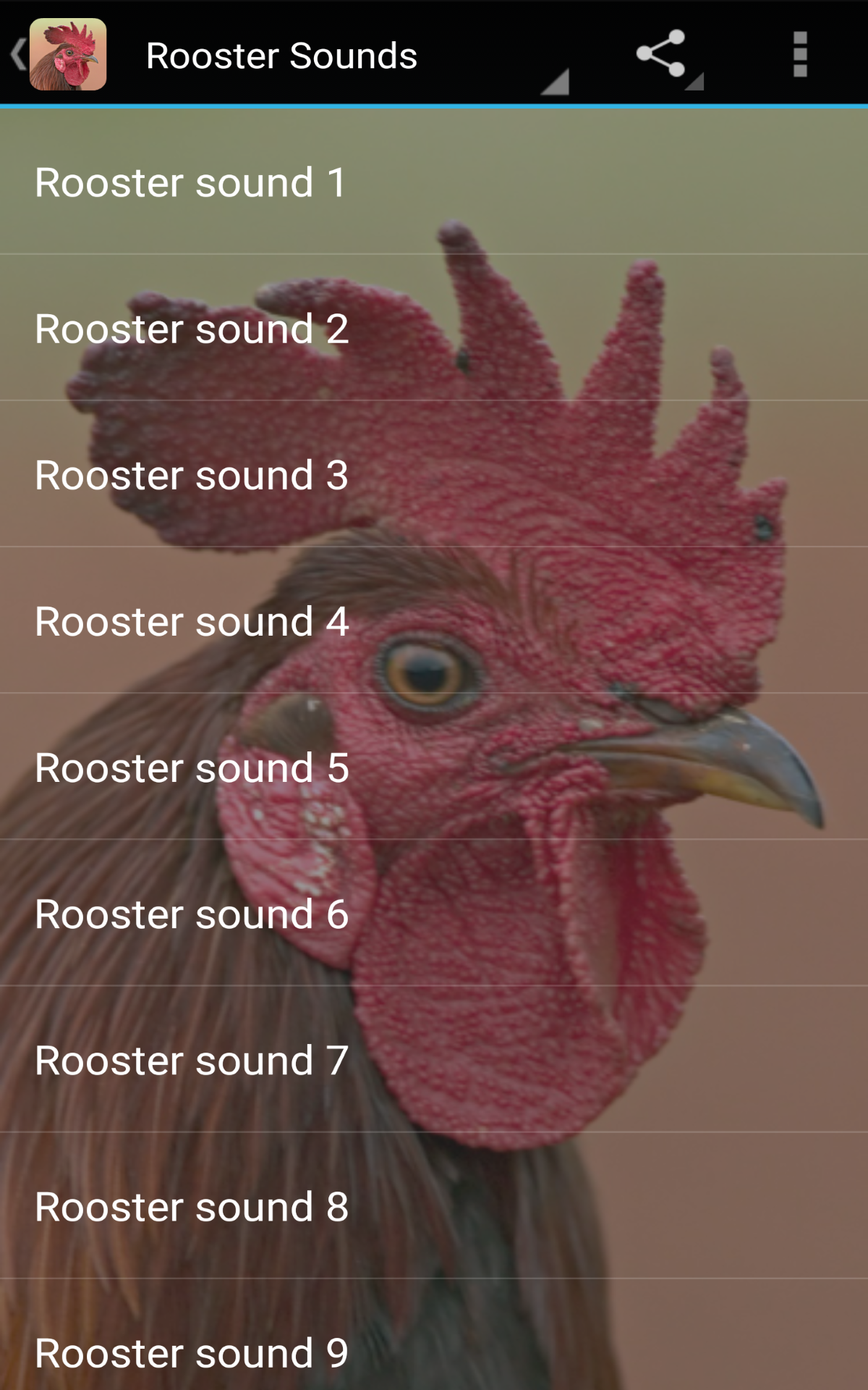 Rooster Sounds: Amazon.co.uk: Appstore for Android