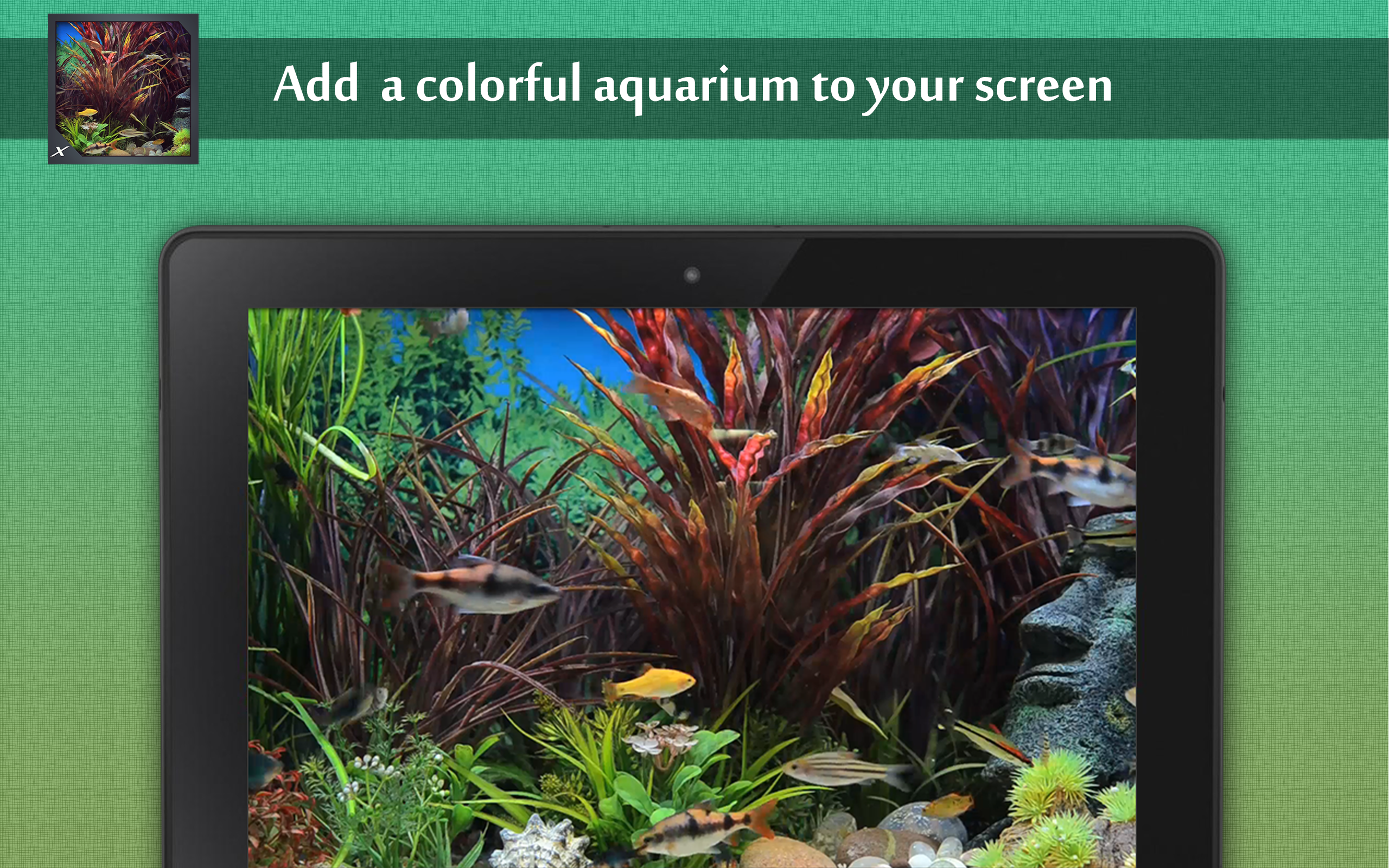 Funky Fish Aquarium : view the colourful aquarium on screen : Amazon.co ...