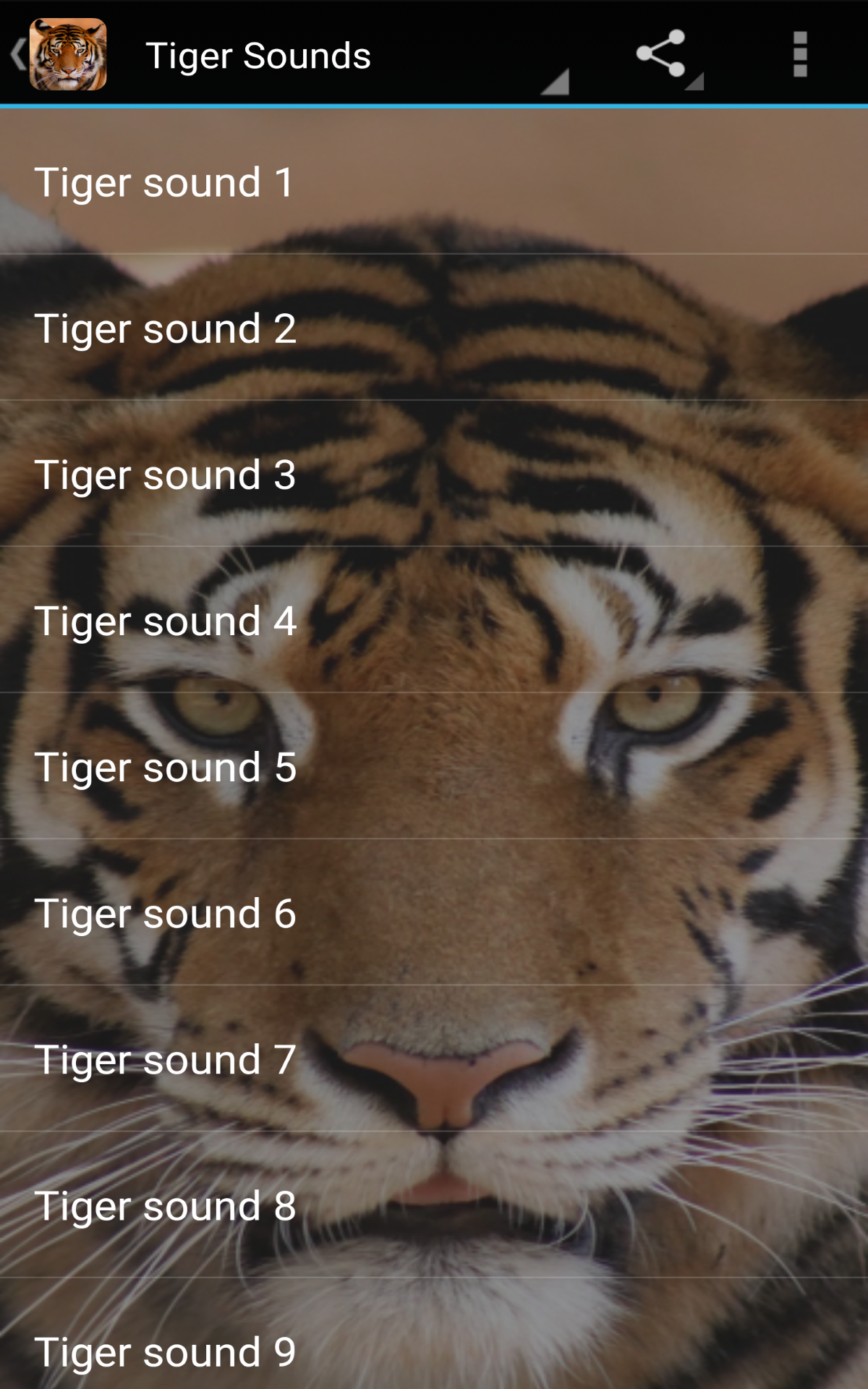 Tiger Sounds: Amazon.de: Apps für Android