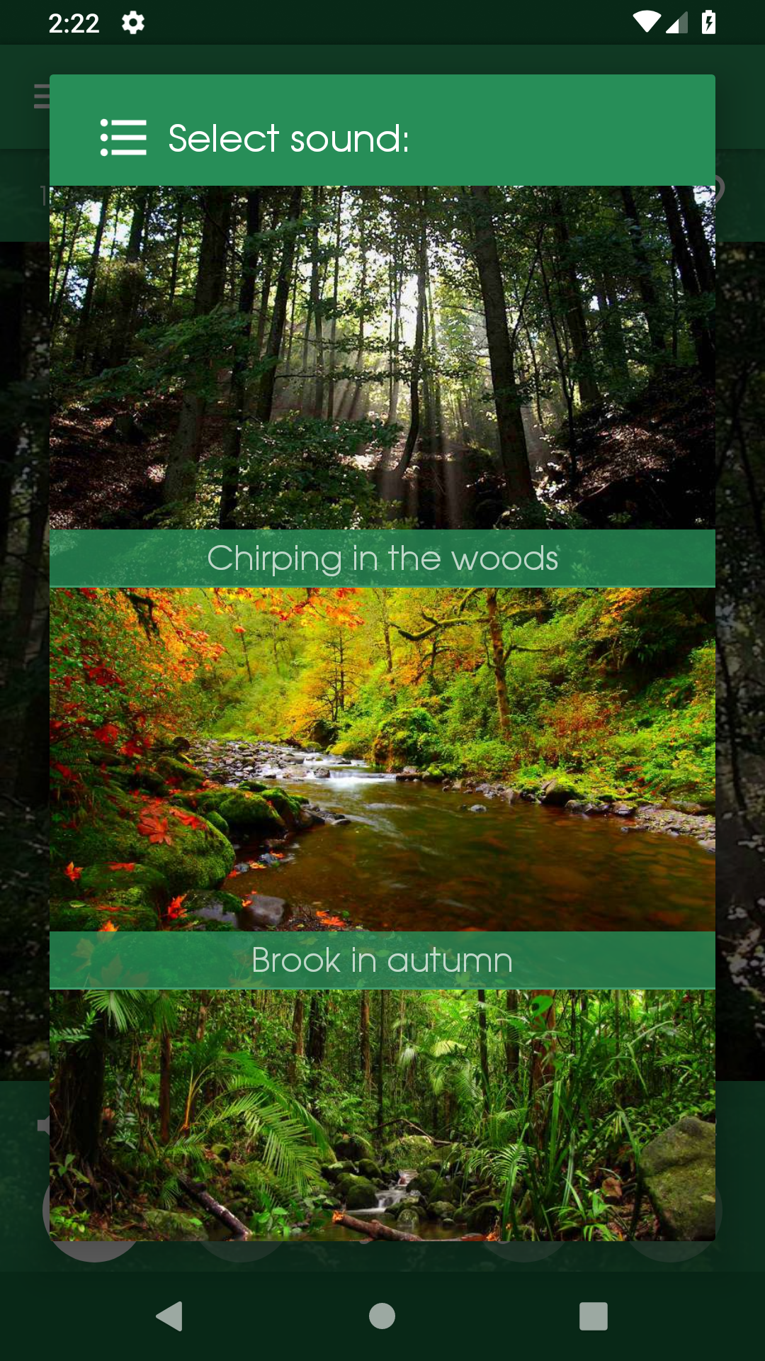 Relax Forest - Nature sounds: sleep & meditation: Amazon.in: Appstore ...