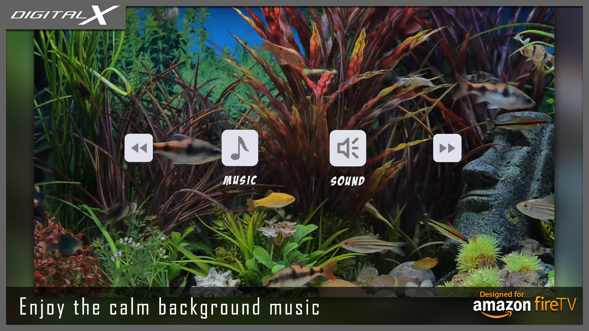 Funky Fish Aquarium : view the colourful aquarium on screen : Amazon.co ...