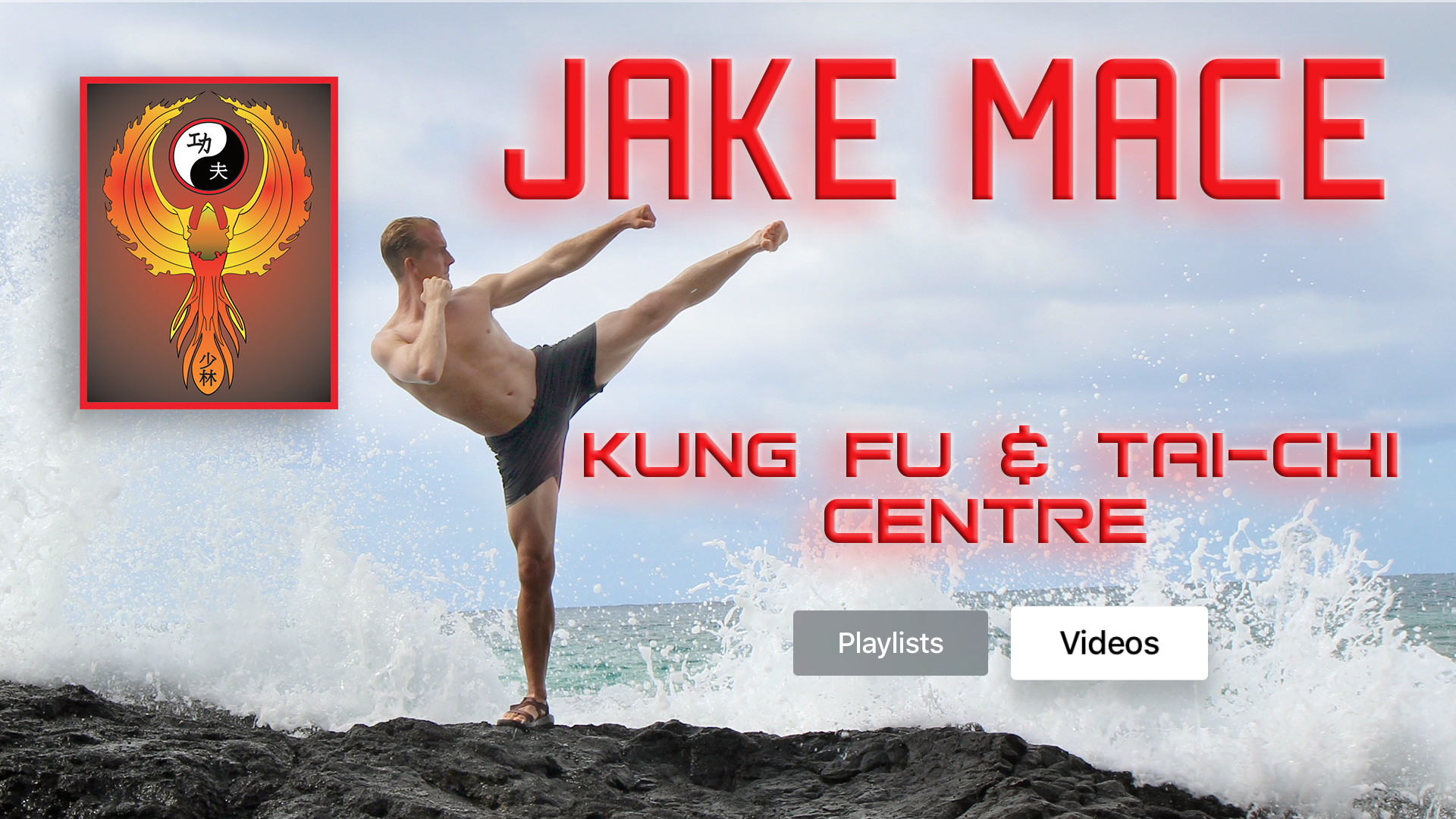 Jake Mace Kung Fu & Tai-Chi: Amazon.it: Appstore per Android