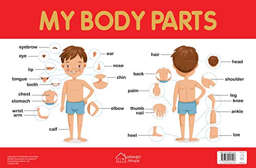 Buy My Body Parts Chart Early Learning Educational Chart For Kids buy-my-body-parts-chart-early-learning-educational-chart-for-kids