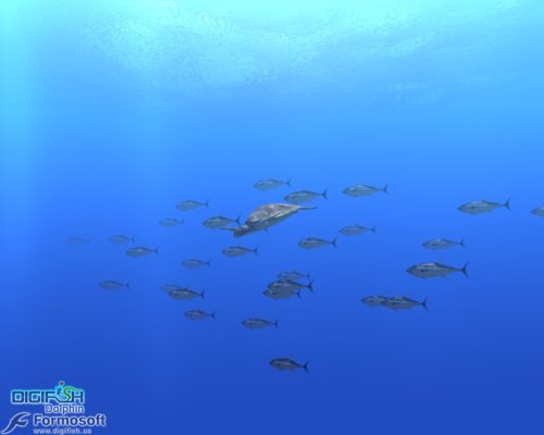 Digifish Dolphin : Amazon.de: Games