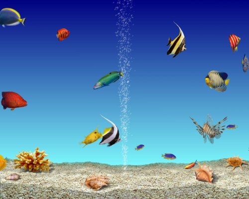 Digifish Aquarium : Amazon.de: Software