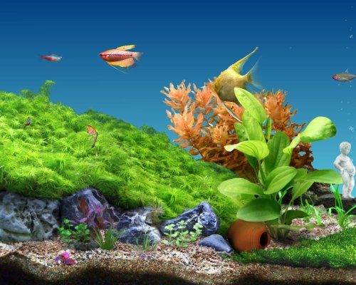 Digifish Aqua Garden : Amazon.de: Software