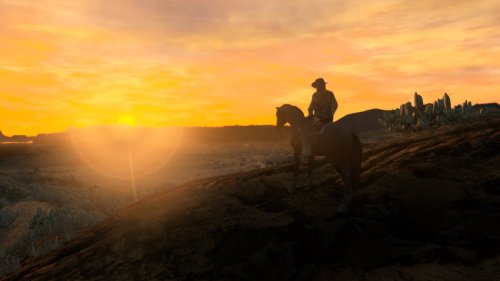 Red Dead Redemption : Amazon.de: Games