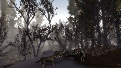 All Round Hunter : Amazon.de: Games