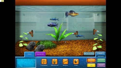Fish Co. - Die Fischzucht - Company - [PC] : Amazon.de: Games