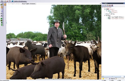 Schäfer Heinrichs Bauernhof Simulator - [PC] : Amazon.de: Games