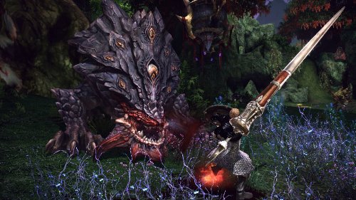 Tera - [PC] : Amazon.de: Games