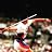 Nordlicht 2 - skandinavisch wohnen : Dorrit Elmquist, Birgitta Wolfgang ...