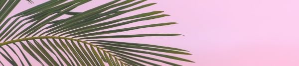 Die Amazon Seite von Emily Gierten