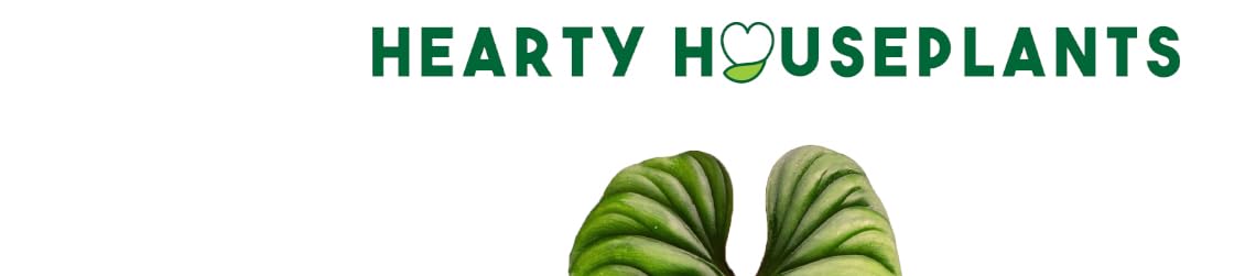 Hearty Houseplants's Amazon page