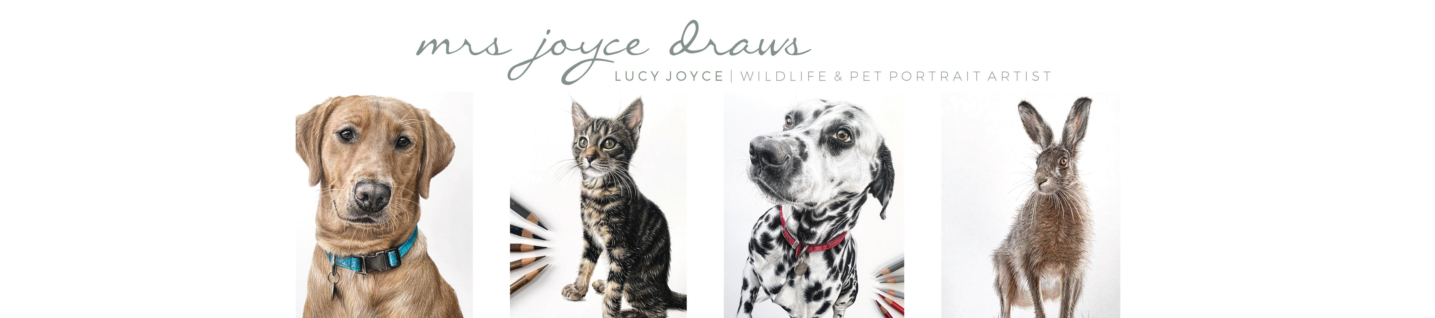 Lucy Joyce | Mrs Joyce Draws's Amazon page