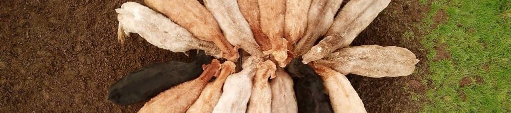 Tom Pemberton Farm Life's Amazon page