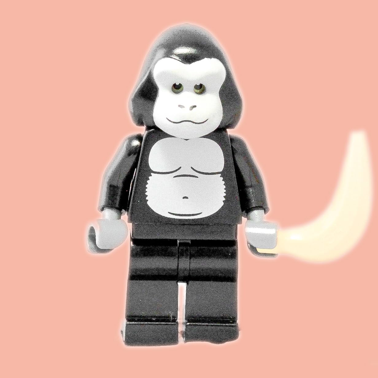 GorillaPhysics - Grade 9 and A* GCSE and A Level Physics's Amazon page