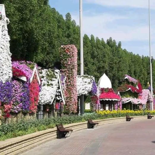 Sofia Akhtar's Amazon Page