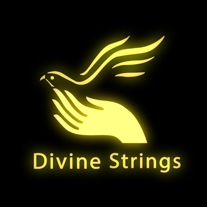 Divine Strings's Amazon Page