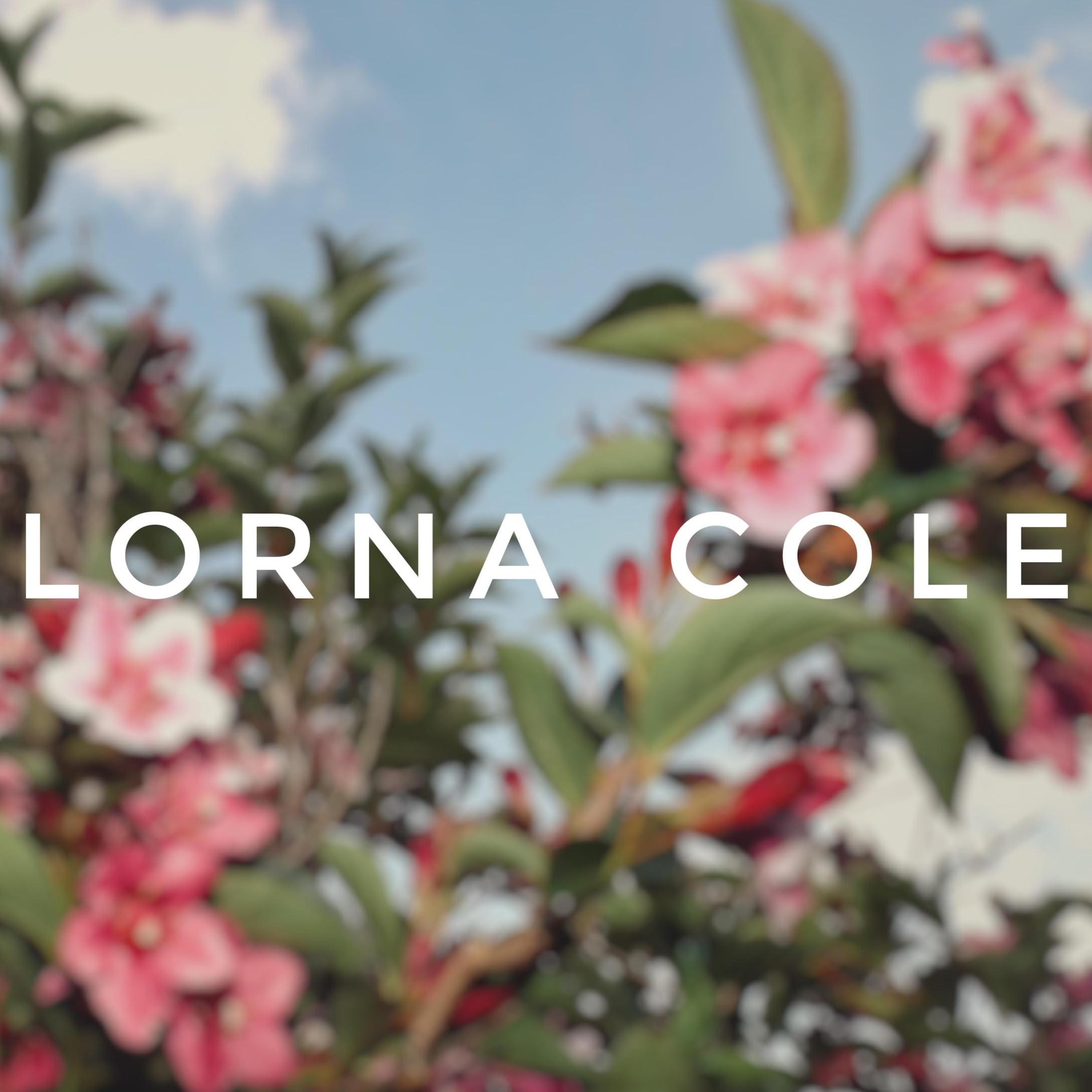 Lorna Cole's Amazon page