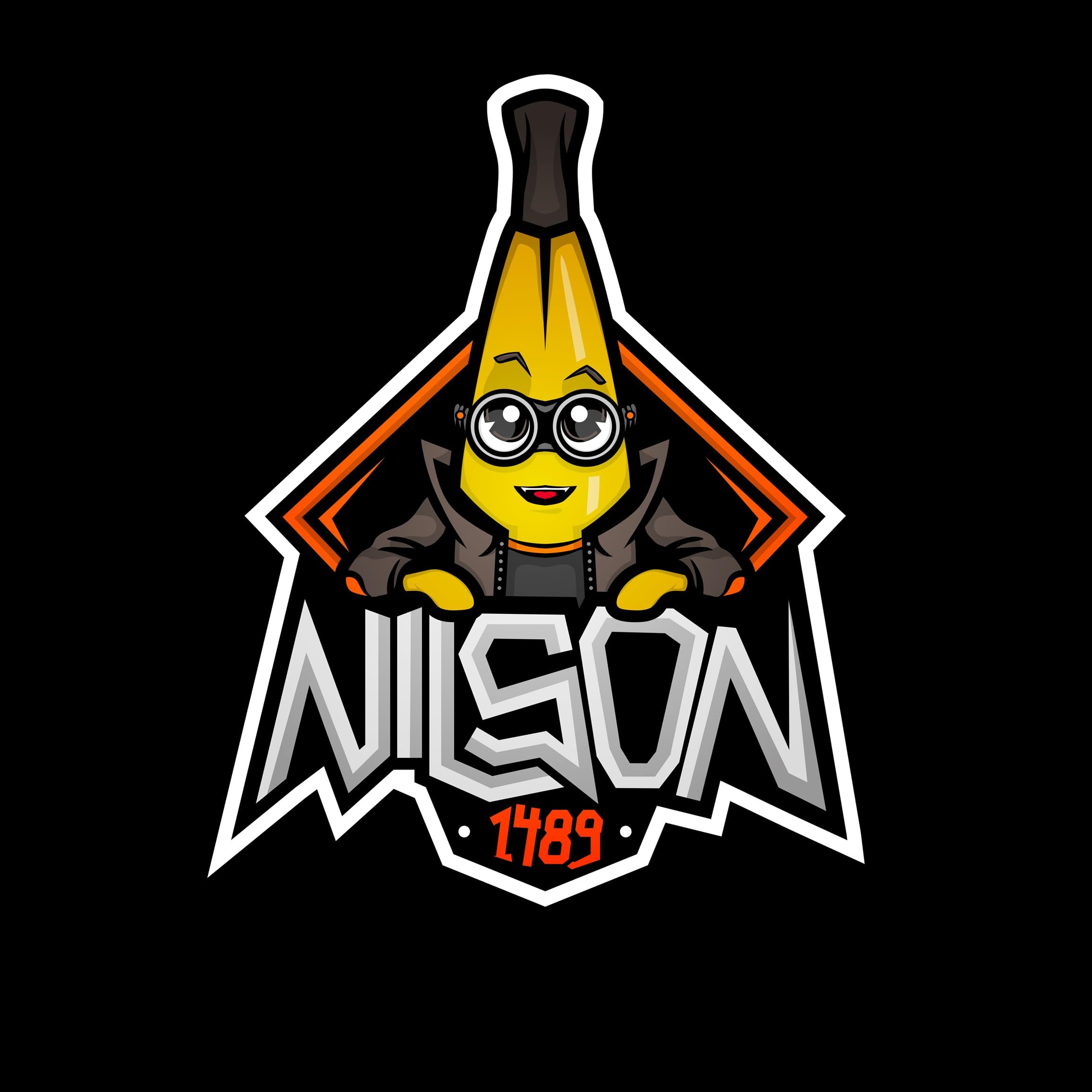 Die Amazon Seite von Nilson1489