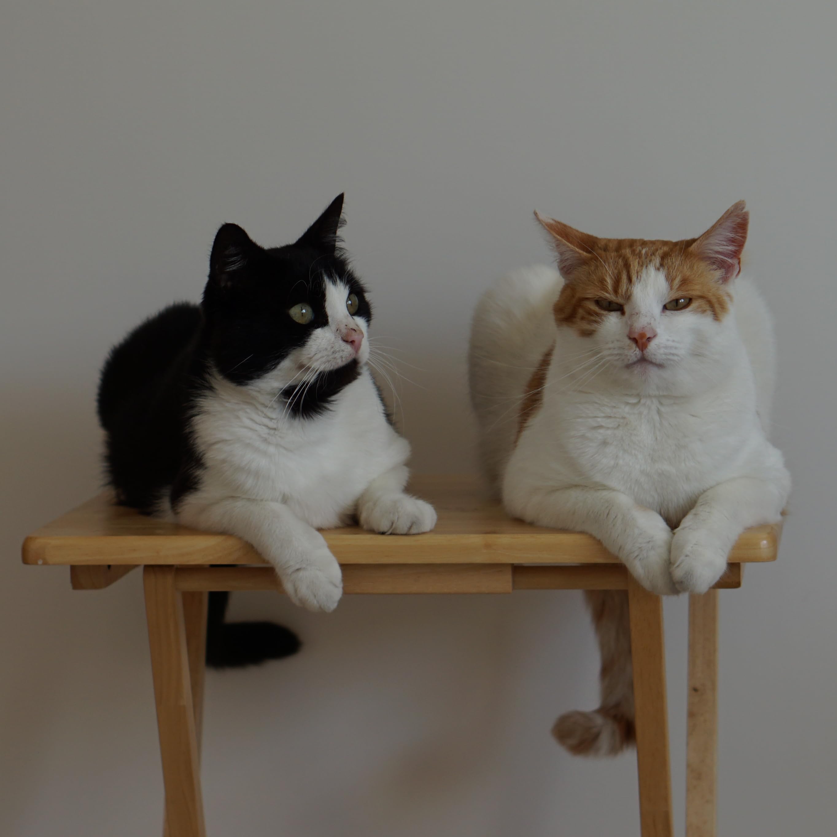 Tom & Mimi's Amazon page