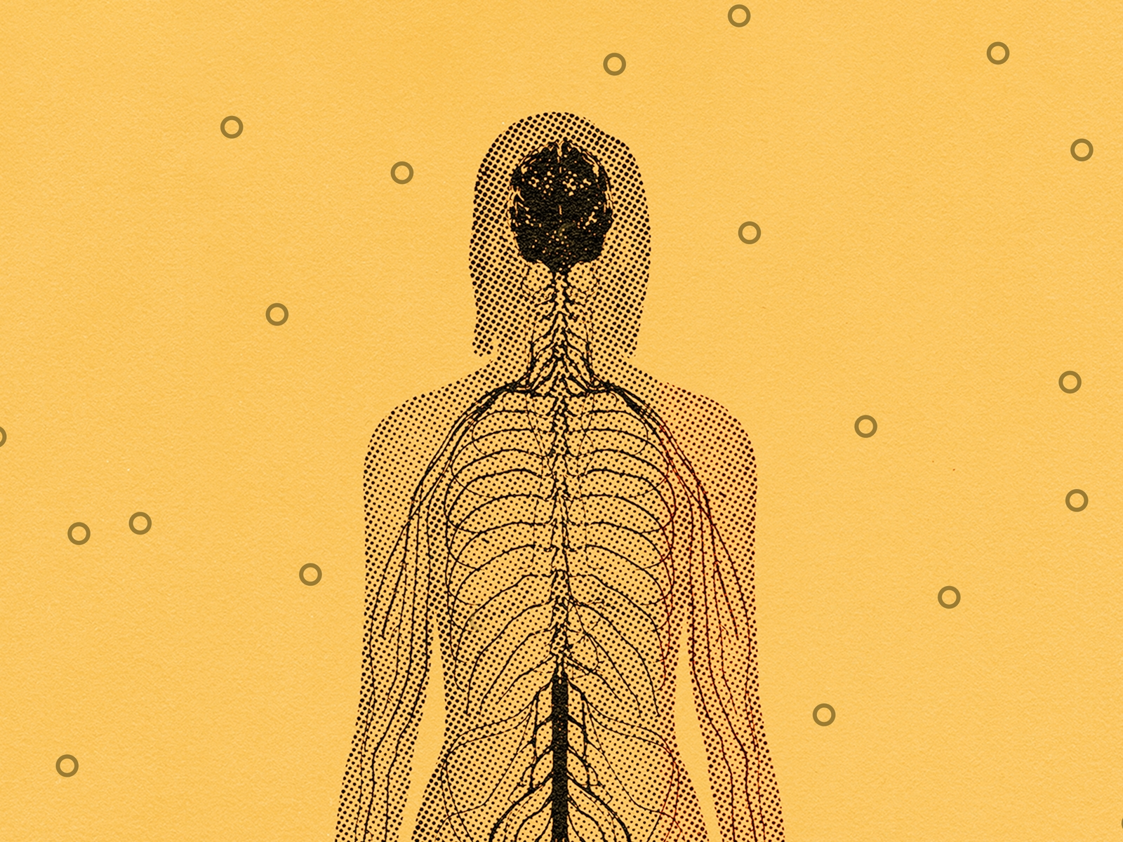 Prime Video: Sick - Season 3