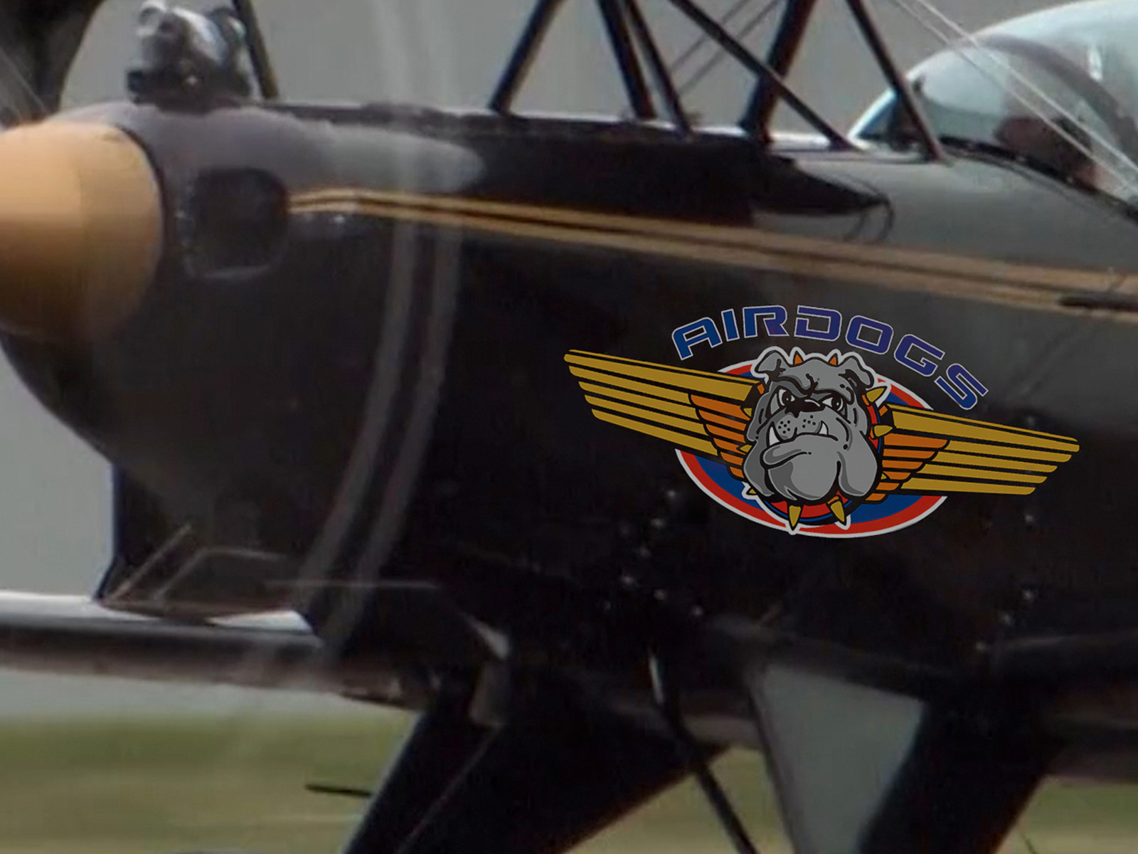 Prime Video: Air Dogs