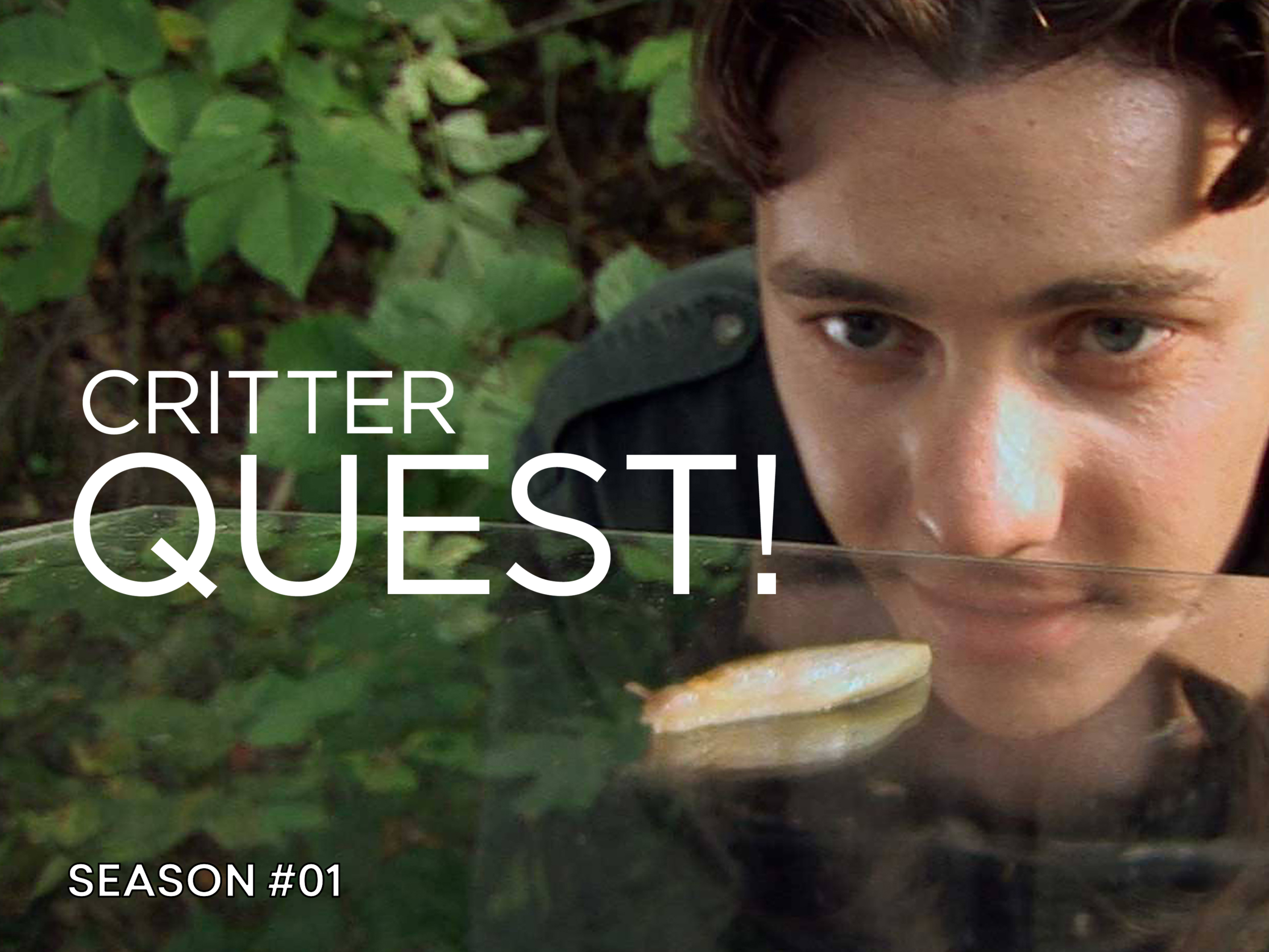 Prime Video: Critter Quest! Season 1