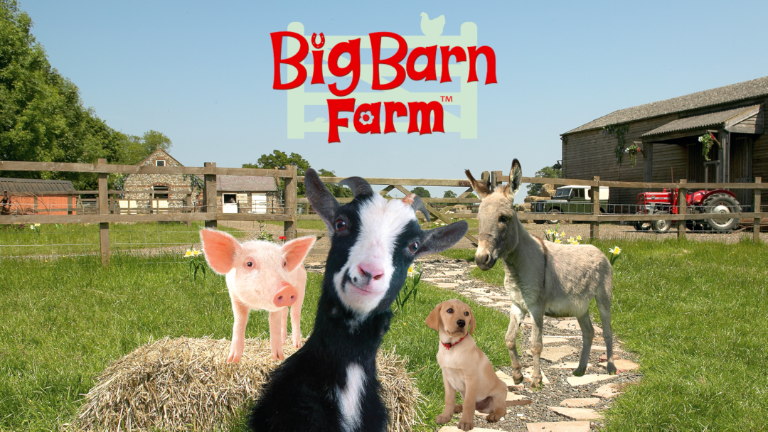 Real Barn With Animals