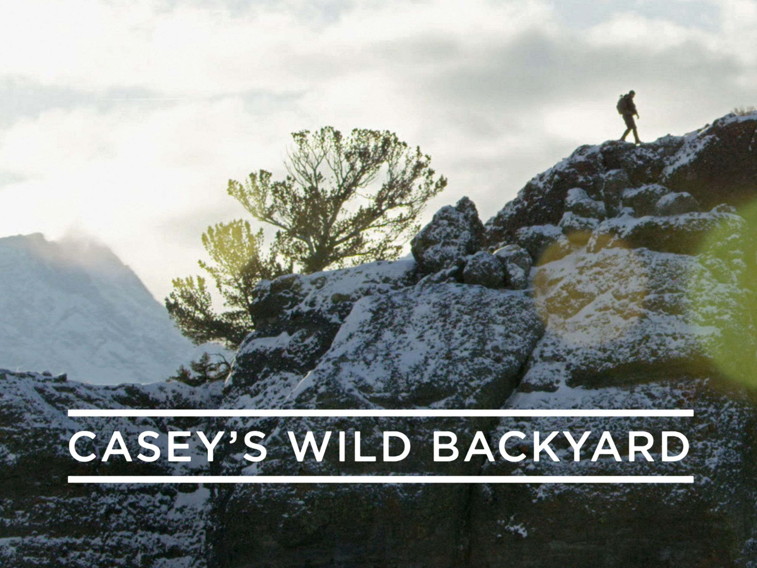 Prime Video: Casey's Wild Backyard - Season 1