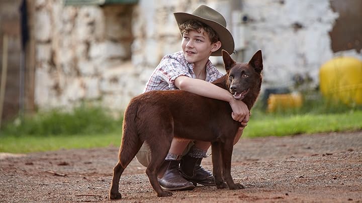 Prime Video: Red Dog