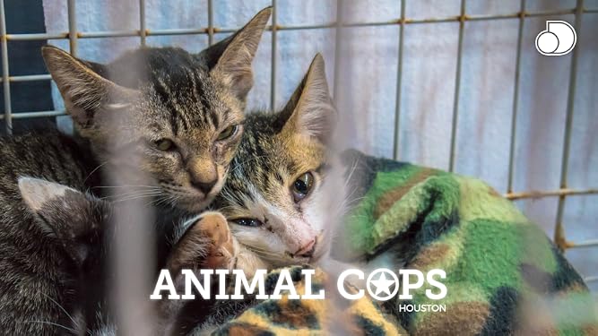 Watch Animal Cops: Houston - Season 5 | Prime Video