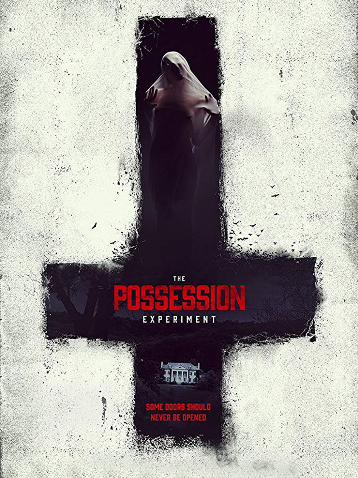 Prime Video: The Possession Experiment