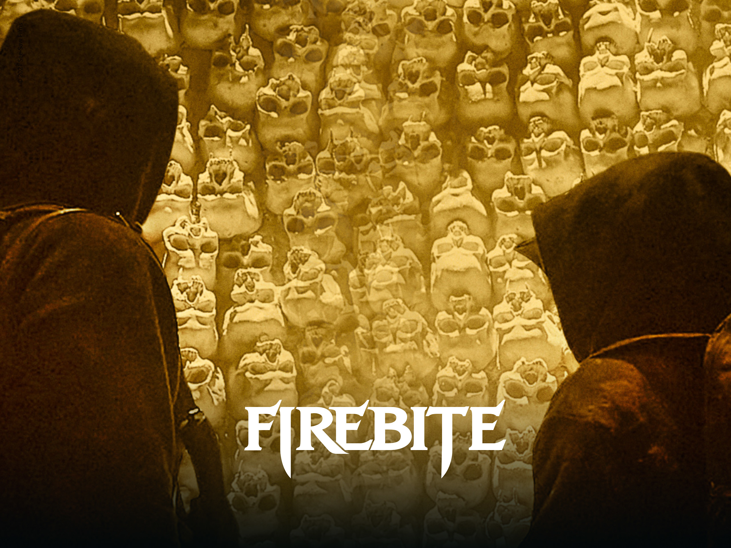 Prime Video: Firebite - Season 1