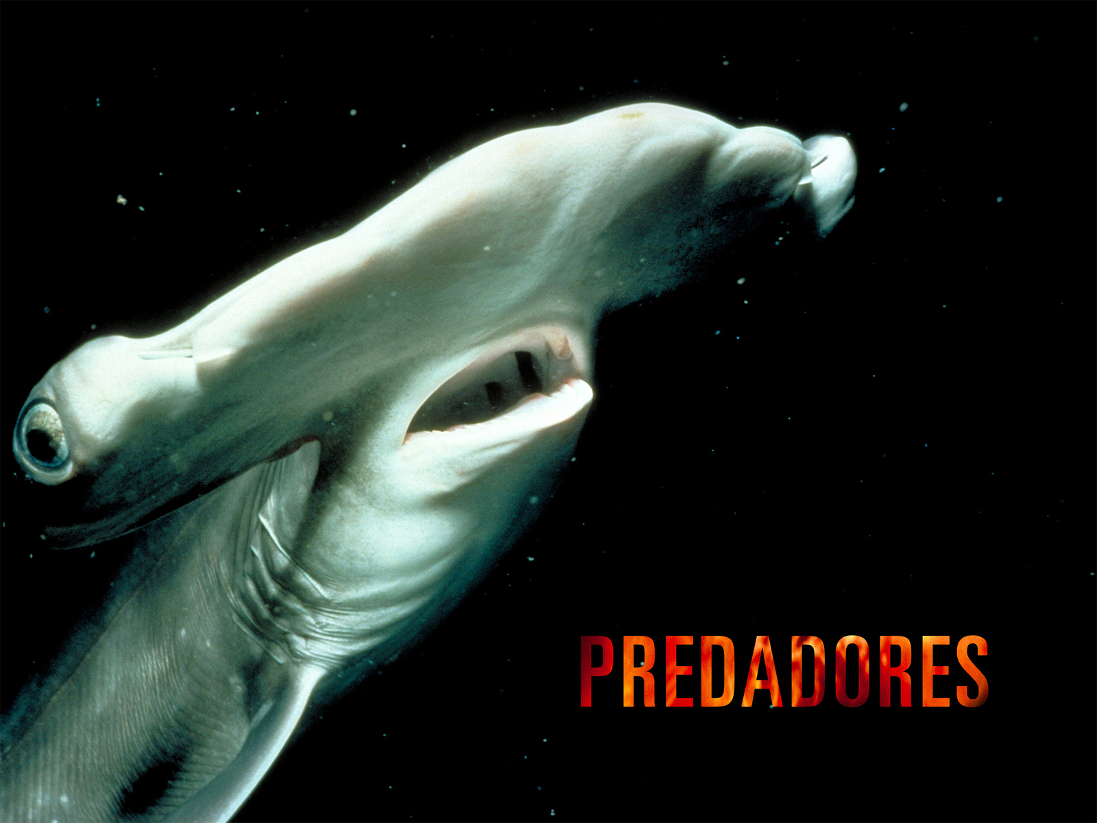 Prime Video: Predators - Season 1