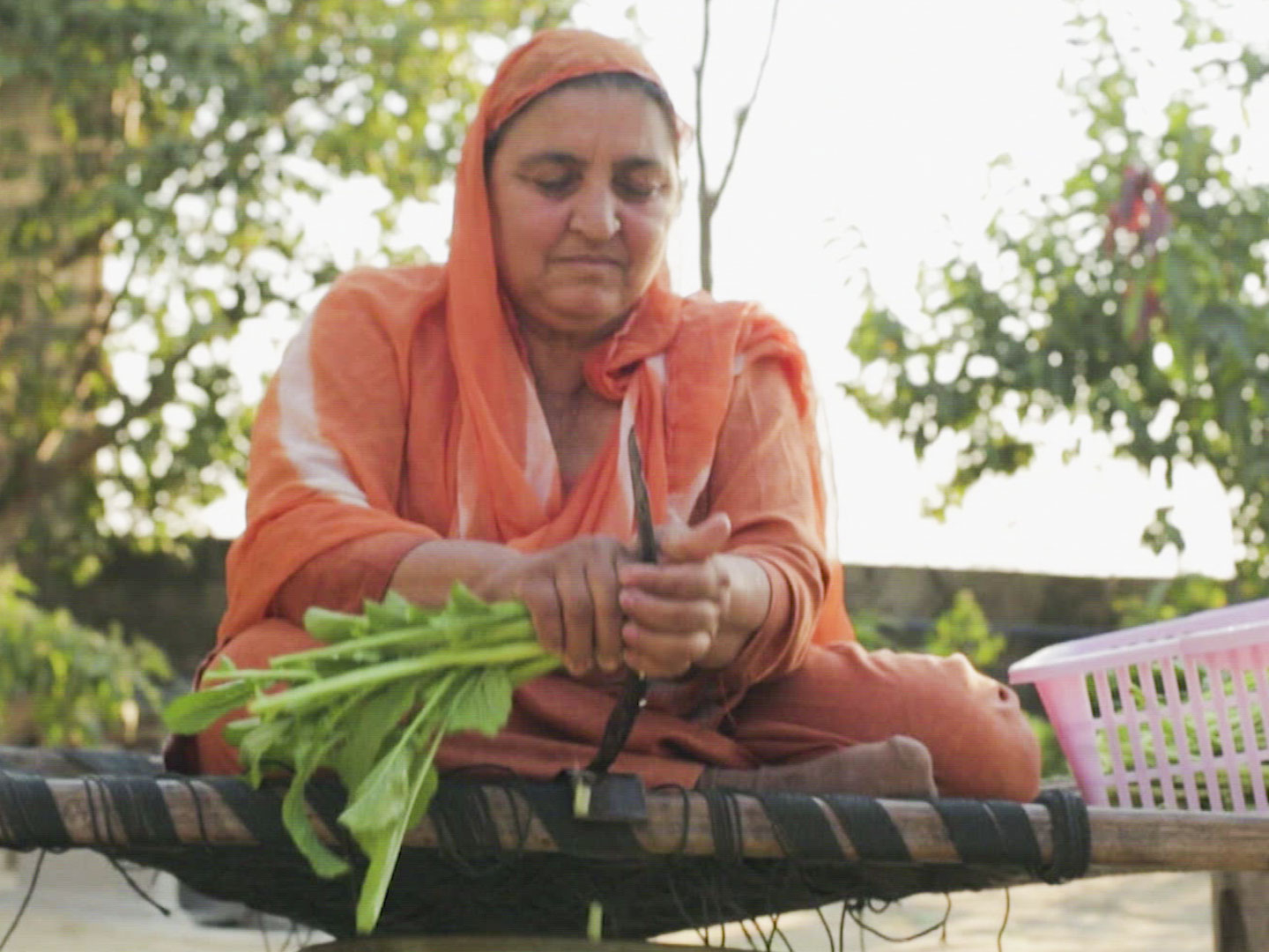 Prime Video: Raja Rasoi Aur Anya Kahaniyaan - Season 1