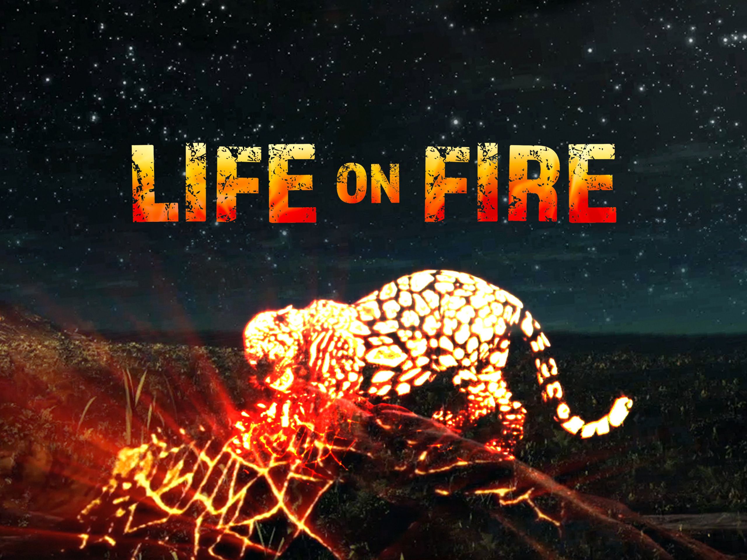 Prime Video: Life On Fire - Season 1