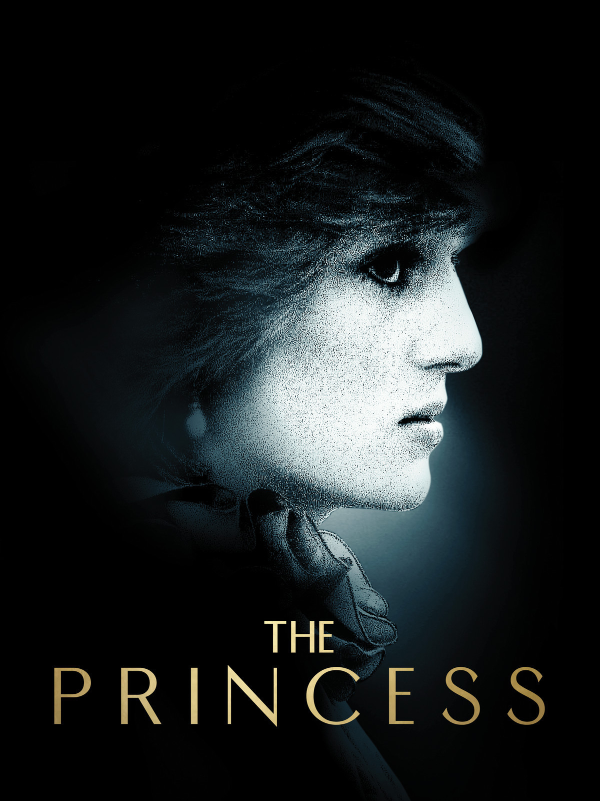 Prime Video: The Princess