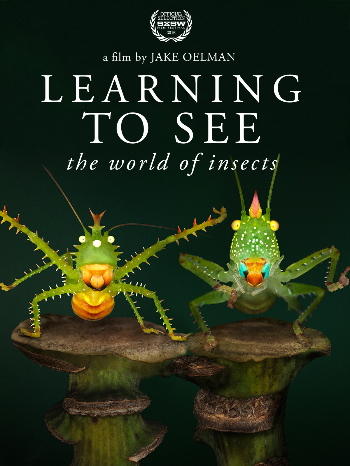 Prime Video: Learning to See