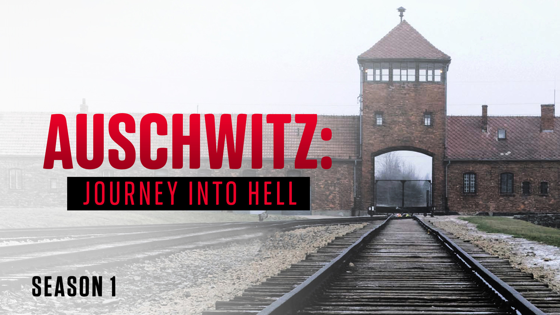 Watch Auschwitz | Prime Video